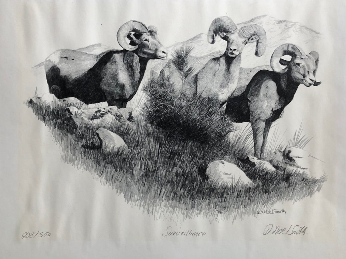 D Noel Smith "surveillance" Drawing of Bighorn Sheep, Signed, Numbered ...