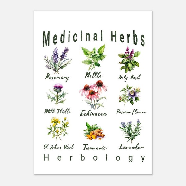 Medicinal Herbs Poster - Etsy UK