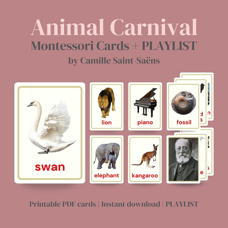 Montessori Animal Cards for Kids, Animal Carnival Educational Cards ...