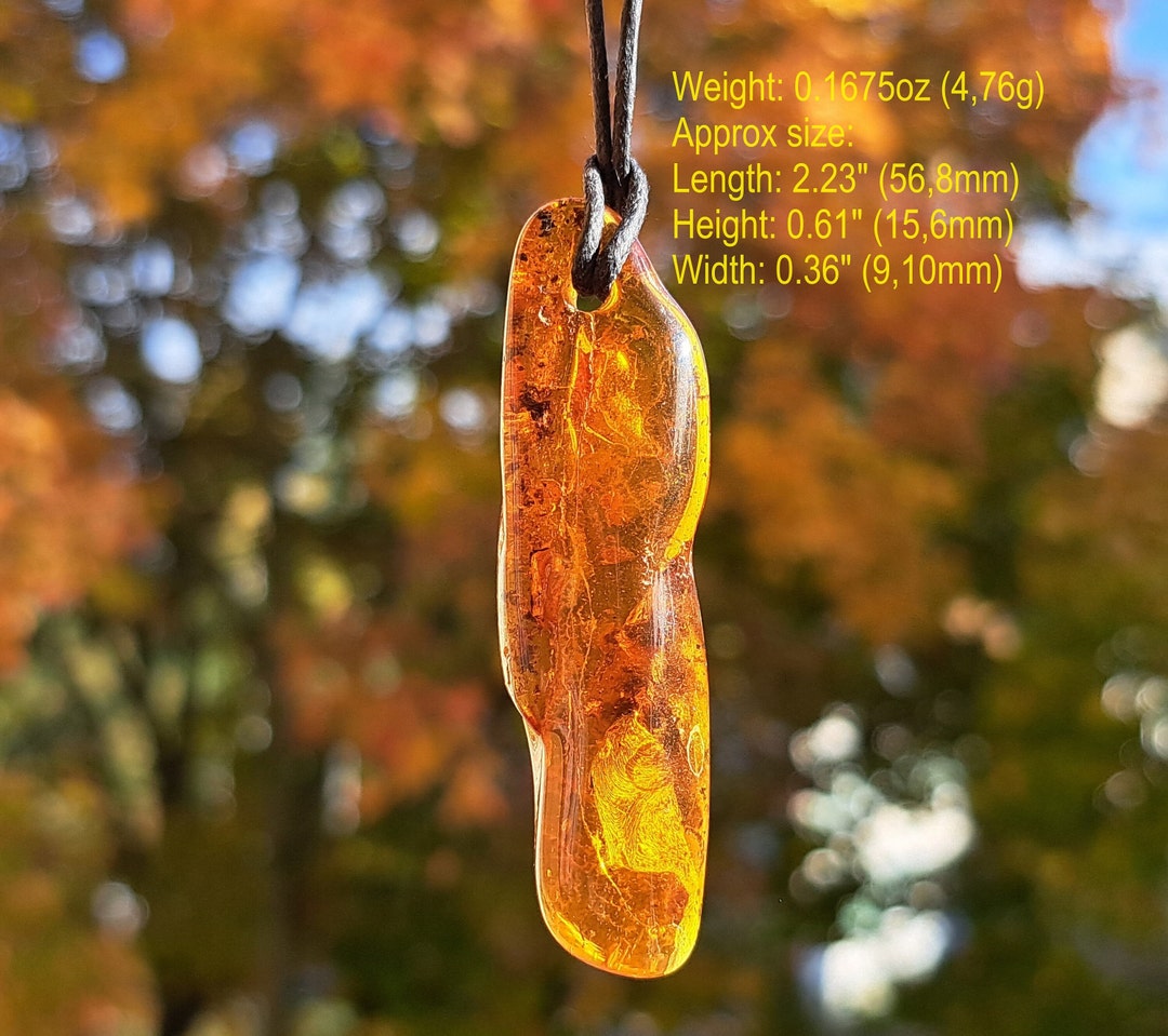 Worry Stone Amber Fossil for Stress Relief – Large Baltic Amber ...