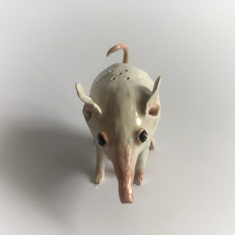 Ceramic salt shaker, White ceramic mouse salt shaker, Rodent lover gift ...