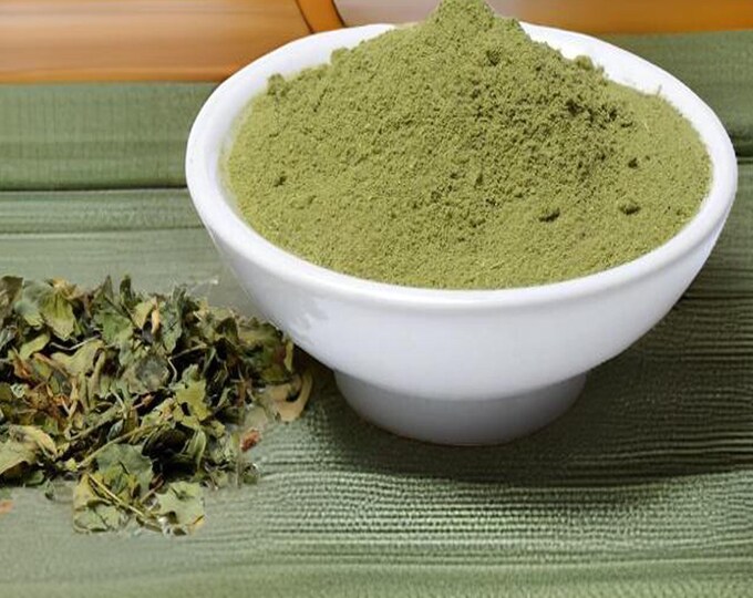 Dried Jujube Powder (sidr) | Sidr Powder (jujube Ziziphus) | أوراق ...