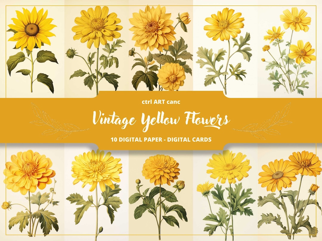 Yellow Flowers Image Yellow Digital Paper Yellow Floral Printable ...