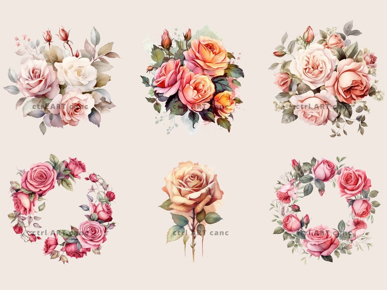 30 Shabby Roses Clipart Rose Clipart Shabby Chic Roses - Etsy