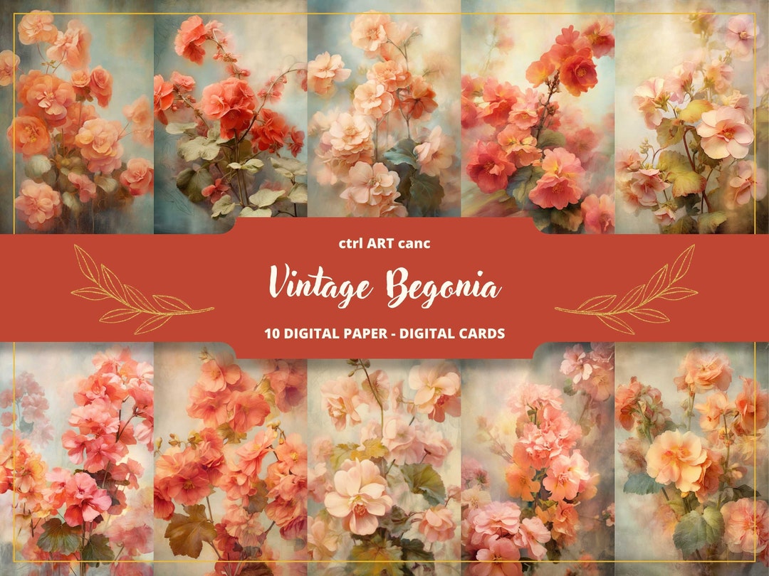 Vintage Begonia Printable, Begonia Digital Paper, Romantic Decor ...