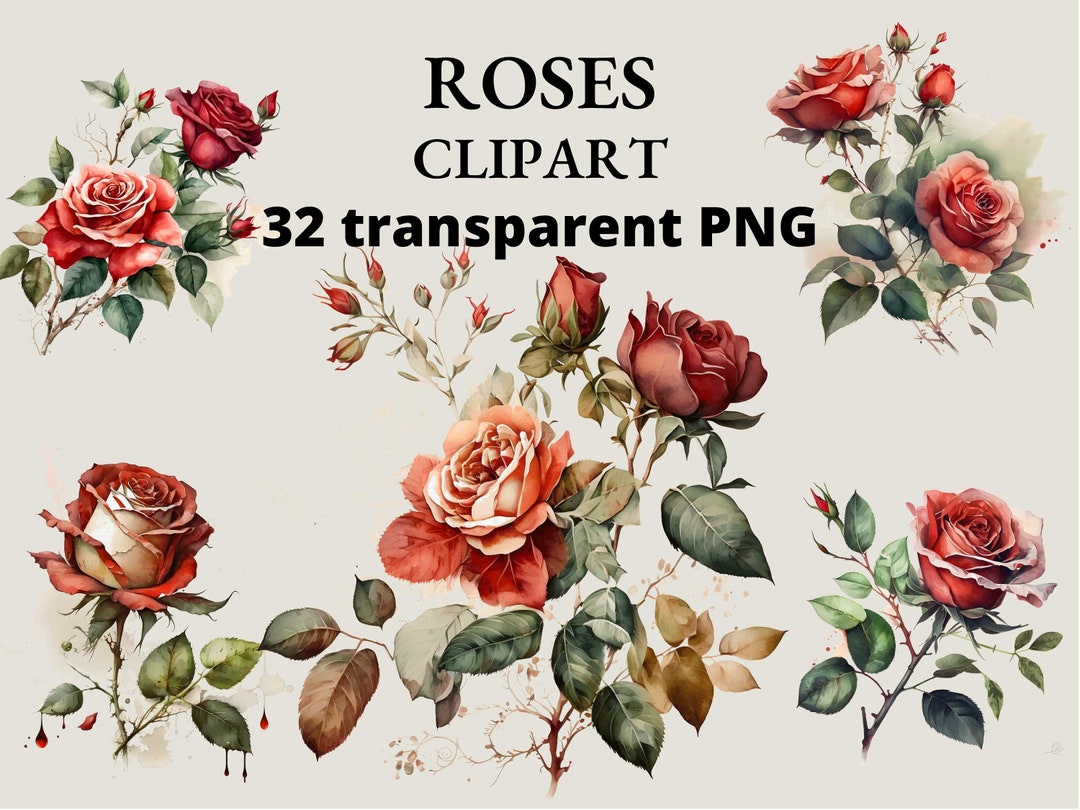 32 Roses Clip Art, Flowers, Watercolor Roses, Flower Decoration ...