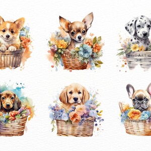 Basket Puppies Clip Art, Puppy Watercolor Clipart, PNG, Watercolor Dog ...