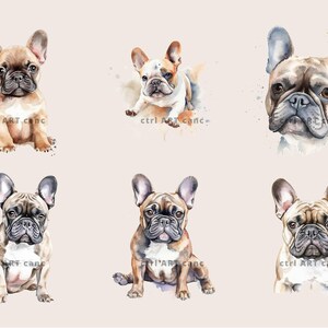 30 French Bulldog Clip Art, Watercolor Dog, PNG, Frenchie, Watercolor ...