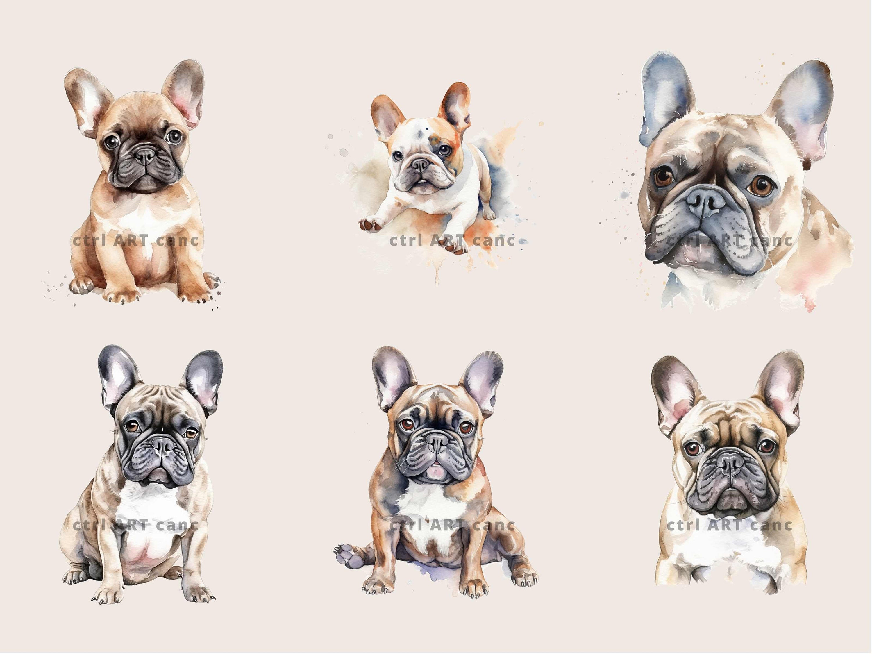 30 French Bulldog Clip Art Watercolor Dog PNG Frenchie - Etsy