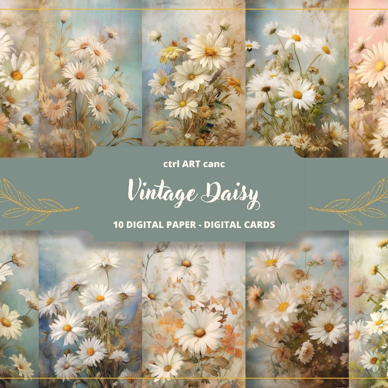 Daisy Digital Stamp - Etsy