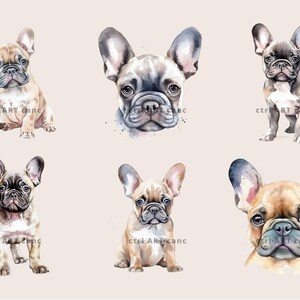 30 French Bulldog Clip Art, Watercolor Dog, PNG, Frenchie, Watercolor ...