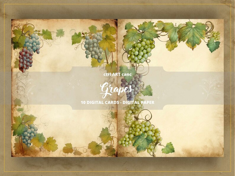 10 Grapes Printable Paper Wine Digital Paper Grapes Junk - Etsy