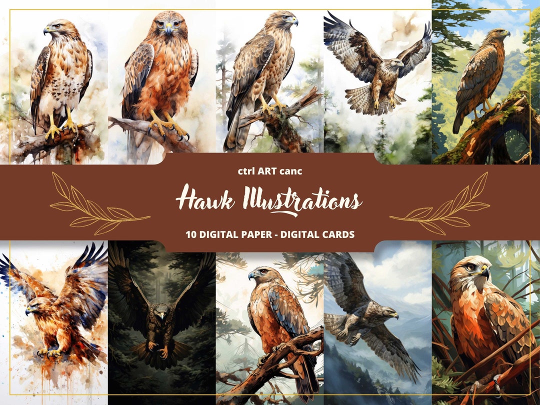 Hawk Illustrations Digital Paper: Bird Prints for Journaling (digital ...