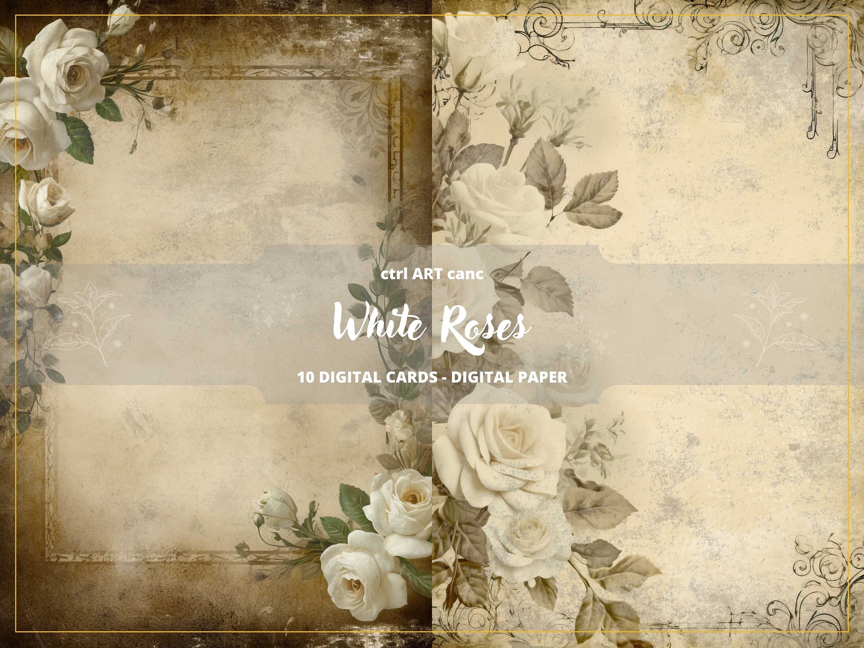10 White Roses Printable Old Paper White Roses Roses - Etsy