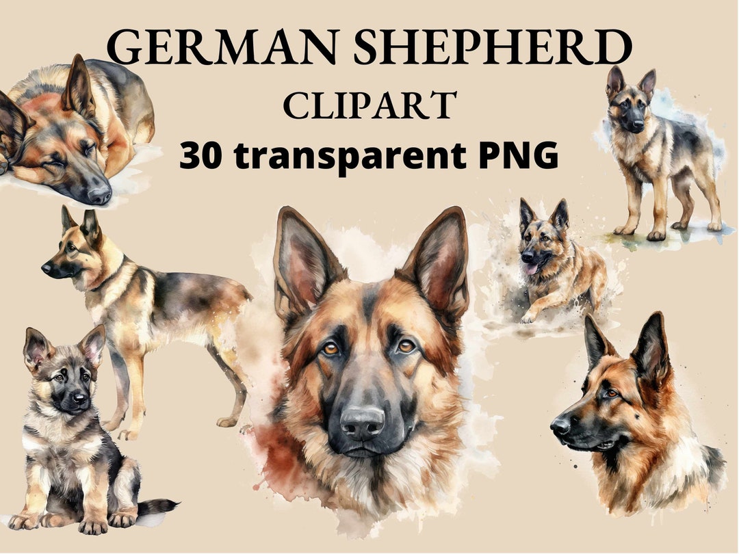 30 German Shepherd Clip Art, Watercolor, PNG, Dog Clipart, Watercolor ...