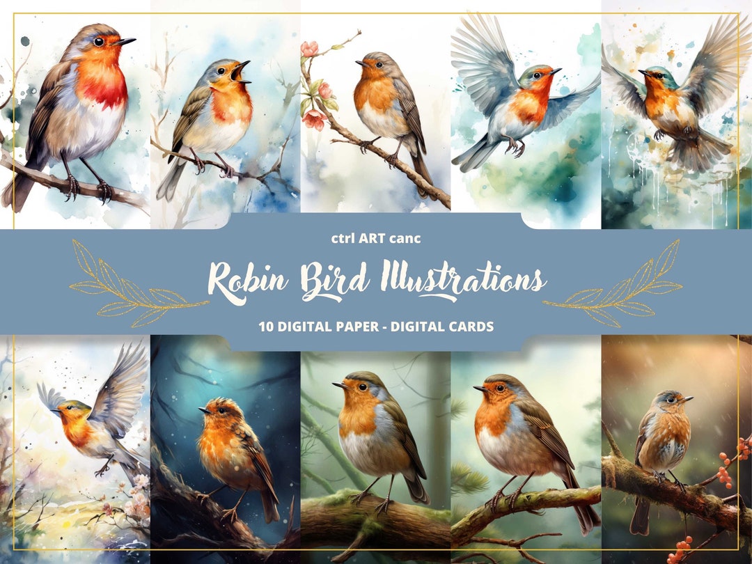 Robin Bird Illustrations: Digital Paper Pack (JPEG Files) - Etsy
