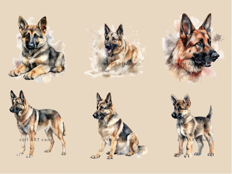 30 German Shepherd Clip Art Watercolor PNG Dog Clipart - Etsy