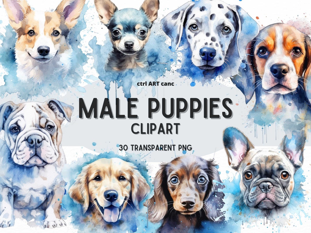 Dog Puppies Clip Art, Puppy Watercolor Clipart, PNG, Watercolor Dog ...