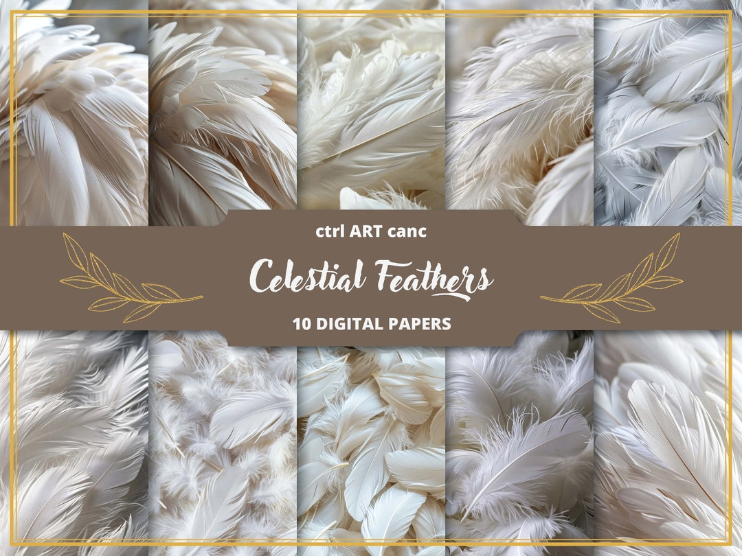 Feathers Digital Paper Feathers Printable Feathers Pattern Feathers ...
