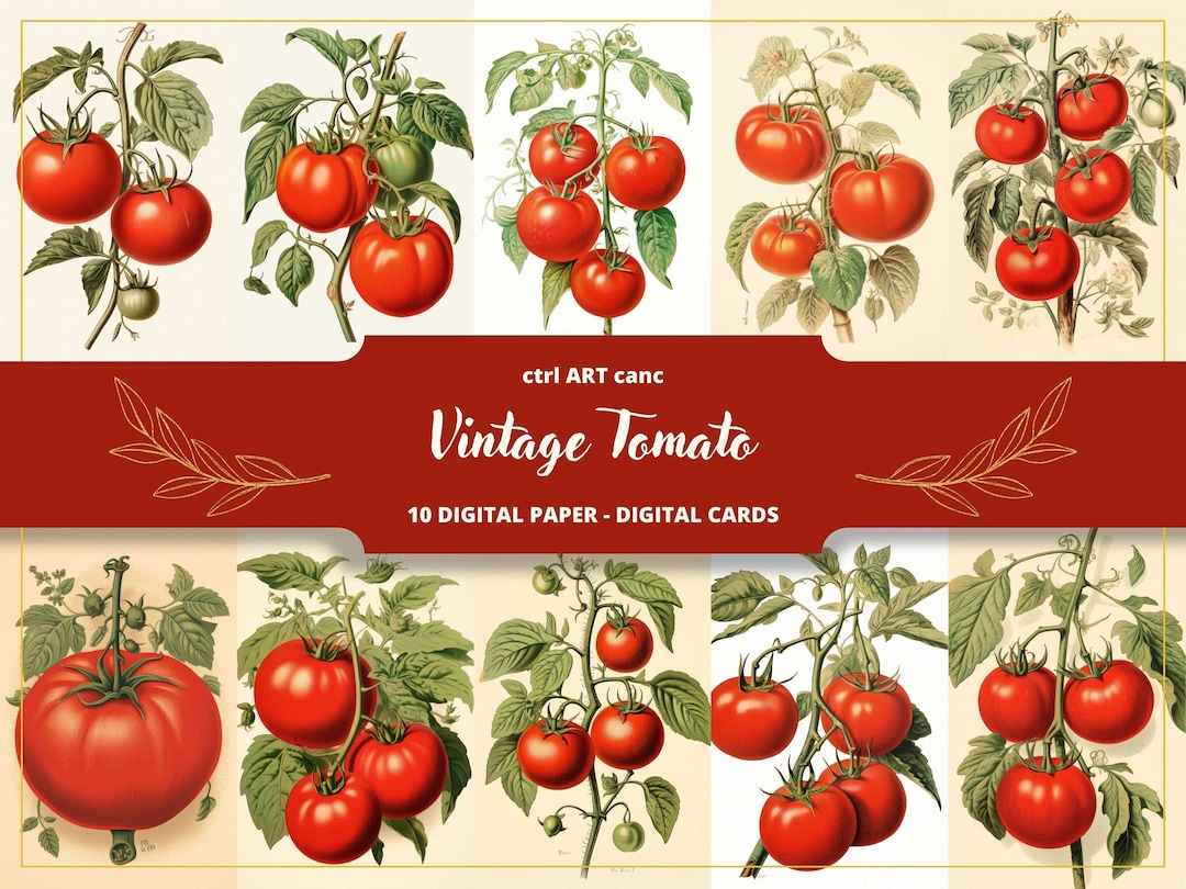 Tomato Wall Art Fruit Art Red Color Art Vintage Art Kitchen Wall Art ...