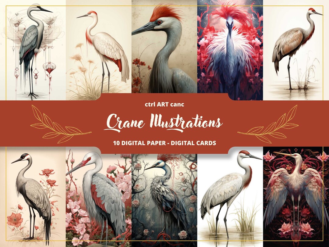 Crane Illustrations Digital Paper, Bird Prints, Bird Decorations, Bird ...