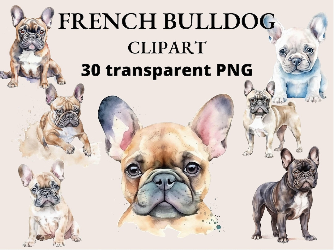 30 French Bulldog Clip Art, Watercolor Dog, PNG, Frenchie, Watercolor ...