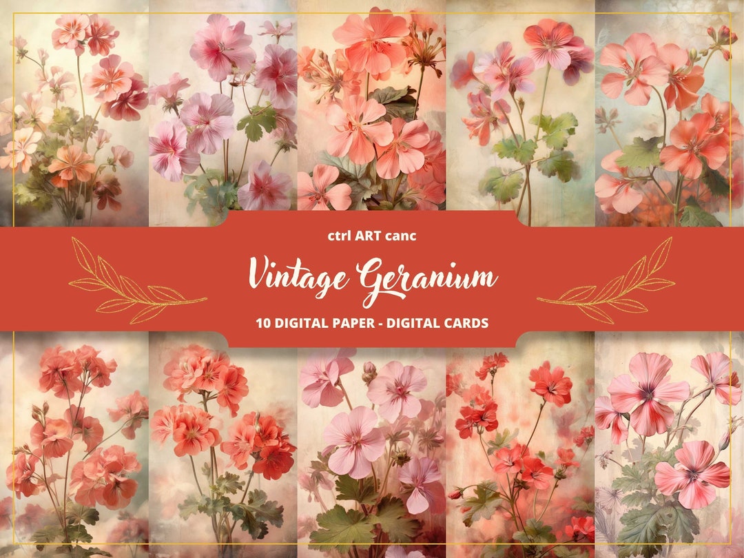 Vintage Geranium Printable, Geranium Paper, Romantic Decor, Journal Kit ...