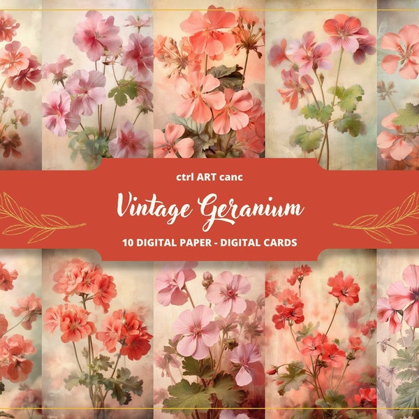 Geraniums - Etsy