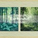 Forest Illustration Digital Paper Forest Printable Paper Forest ...
