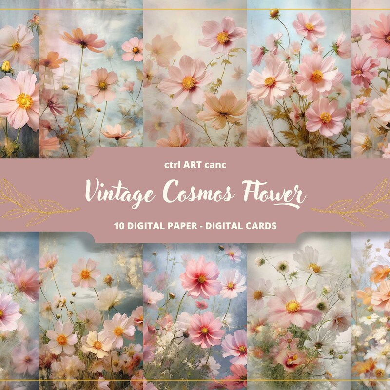 Vintage Cosmos Plants - Etsy