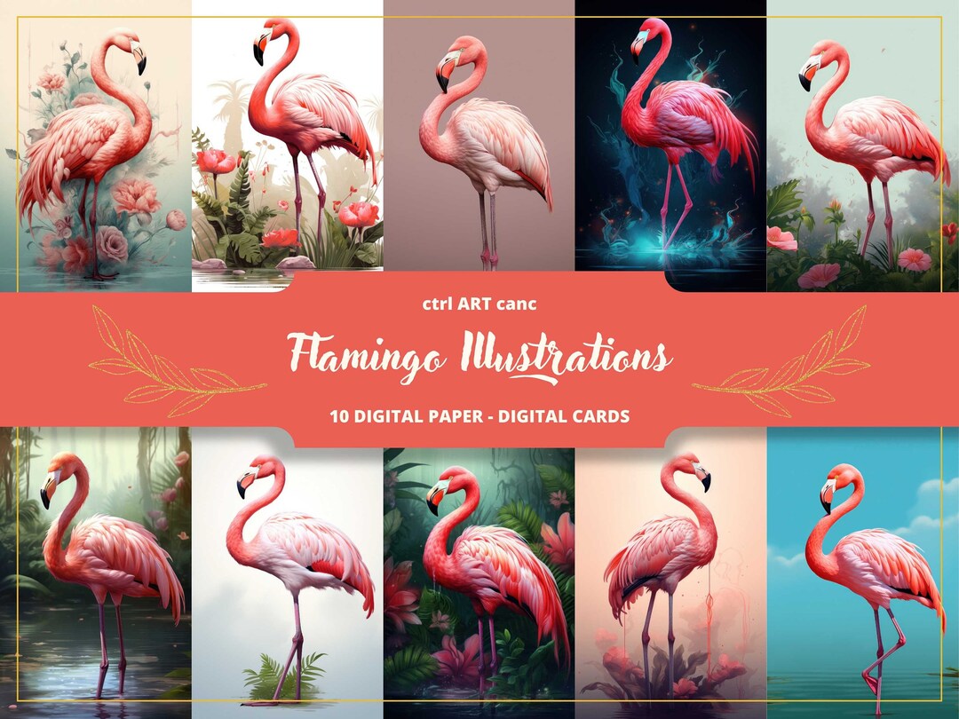 Flamingo Illustrations Digital Paper: Bird Prints (digital Download) - Etsy