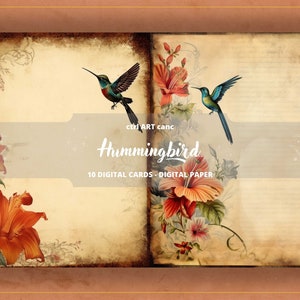 Hummingbird Printable, Himmingbird Paper, Nature Digital Paper, Old ...