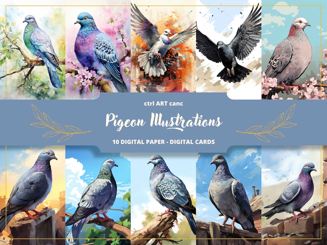 Pigeon Illustrations Digital Paper, Bird Prints, Bird Decorations, Bird ...
