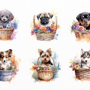 Basket Puppies Clip Art, Puppy Watercolor Clipart, PNG, Watercolor Dog ...