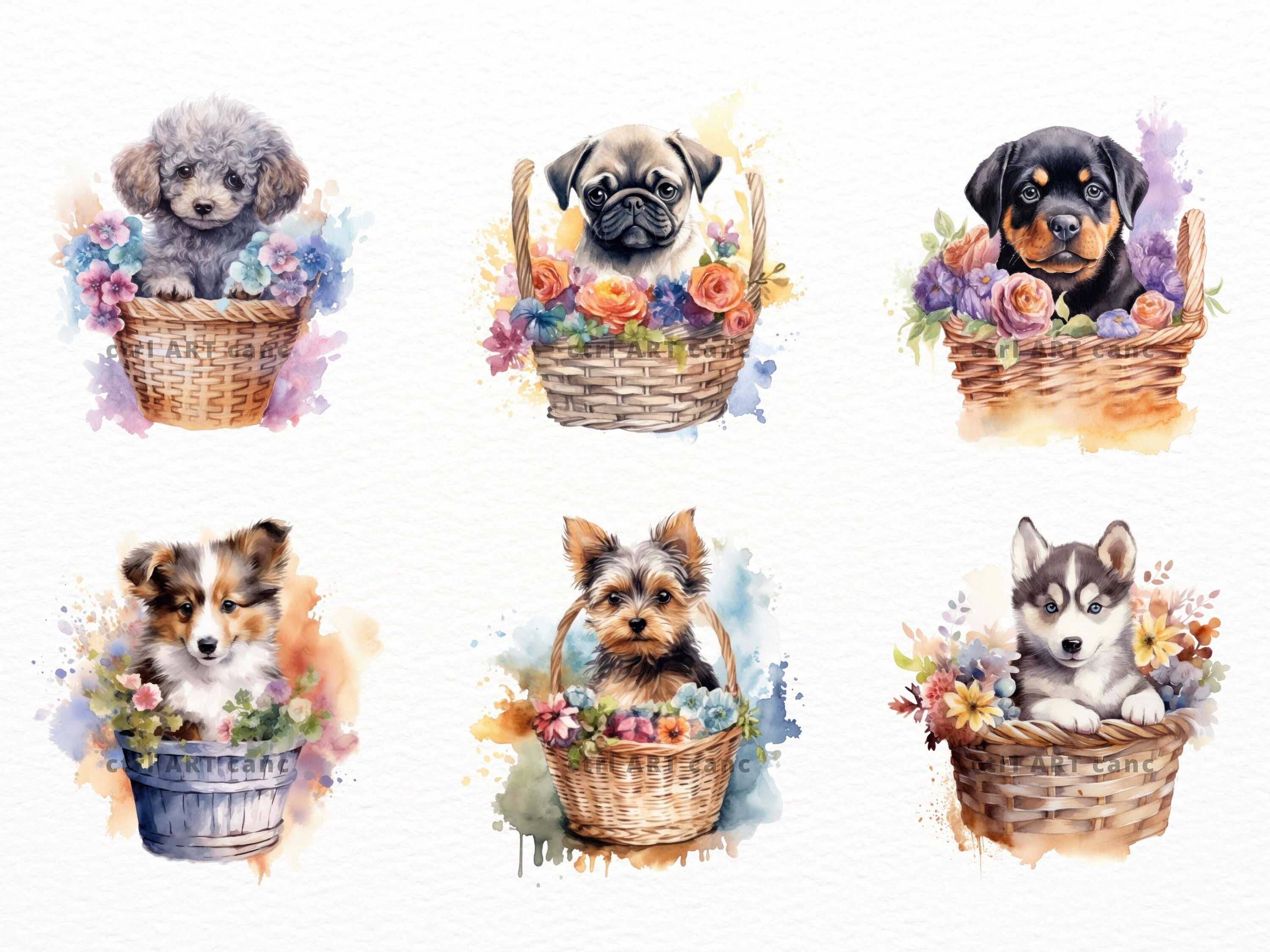 Basket Puppies Clip Art Puppy Watercolor Clipart PNG - Etsy