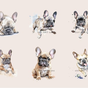 30 French Bulldog Clip Art, Watercolor Dog, PNG, Frenchie, Watercolor ...