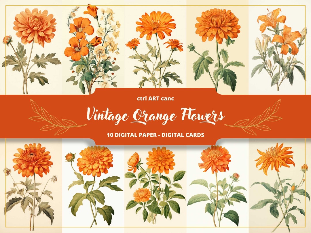 Orange Flowers Image Orange Digital Paper Orange Floral Printable ...