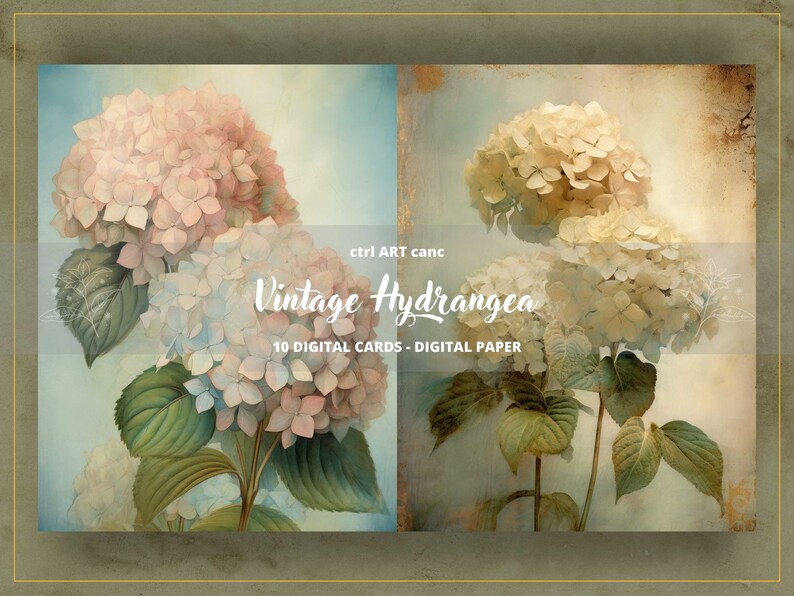 Vintage Hydrangea Printable Hydrangea Paper Romantic Decor - Etsy
