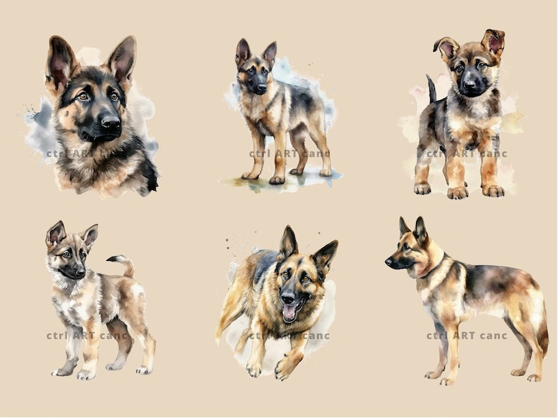30 German Shepherd Clip Art Watercolor PNG Dog Clipart - Etsy