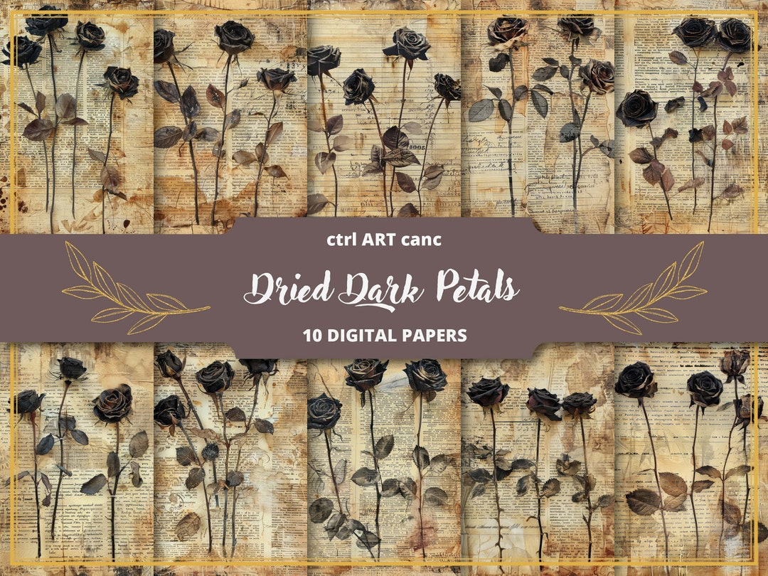 Vintage Dried Black Roses Paper: Junk Journal Kit (digital Download) - Etsy