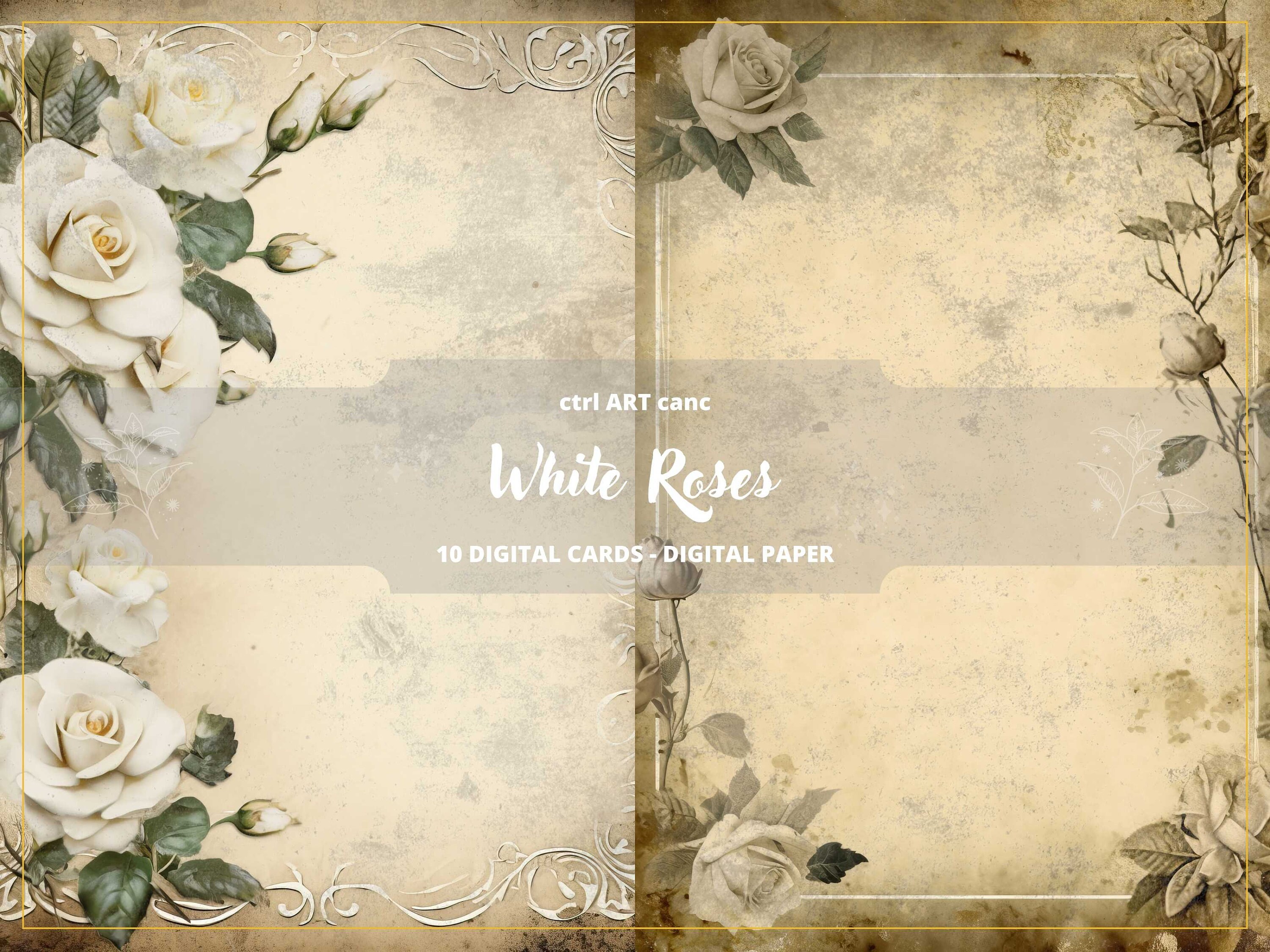 10 White Roses Printable Old Paper White Roses Roses - Etsy