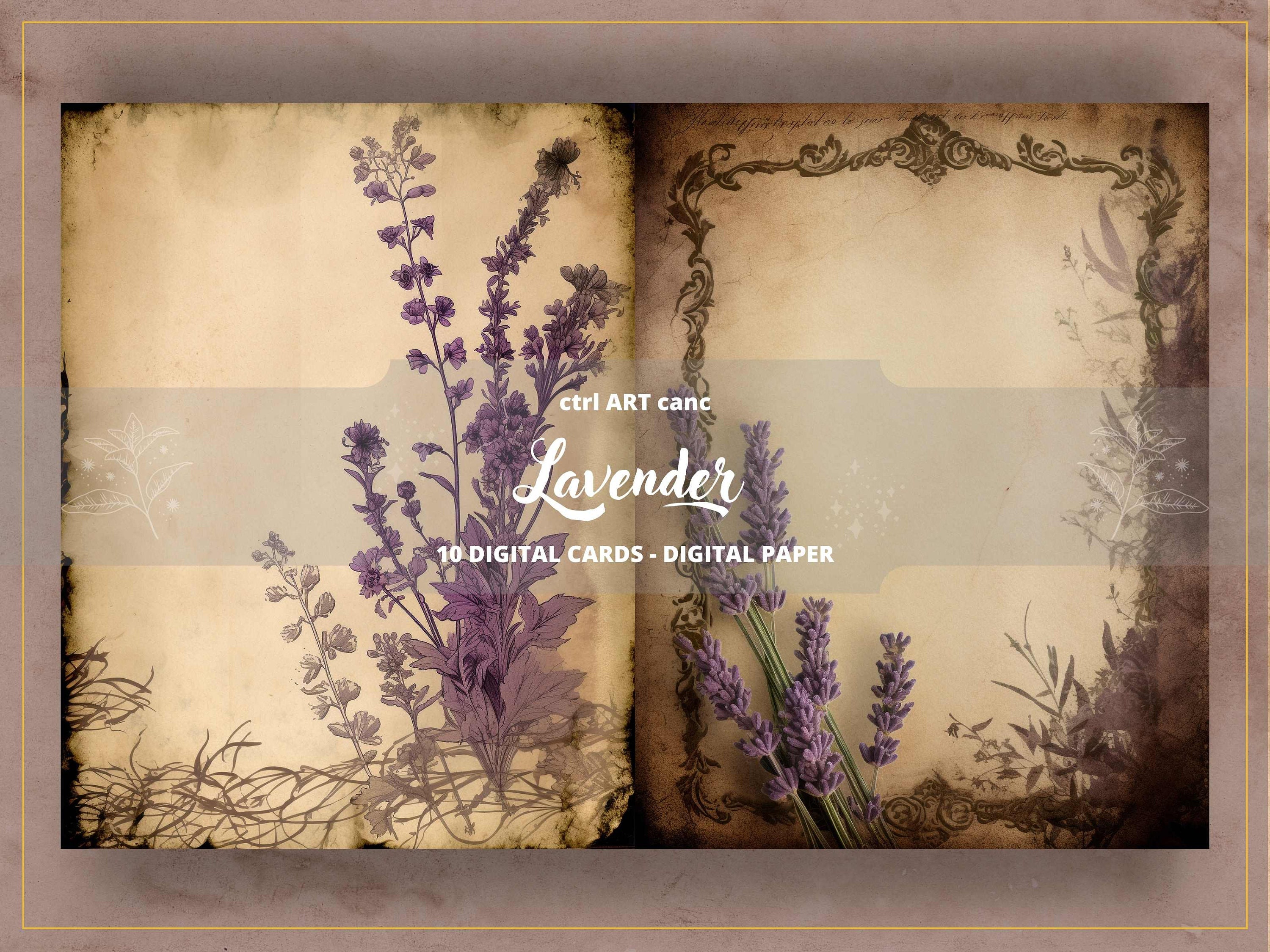 10 Lavender Printable Paper Lavender Digital Paper Lavender - Etsy