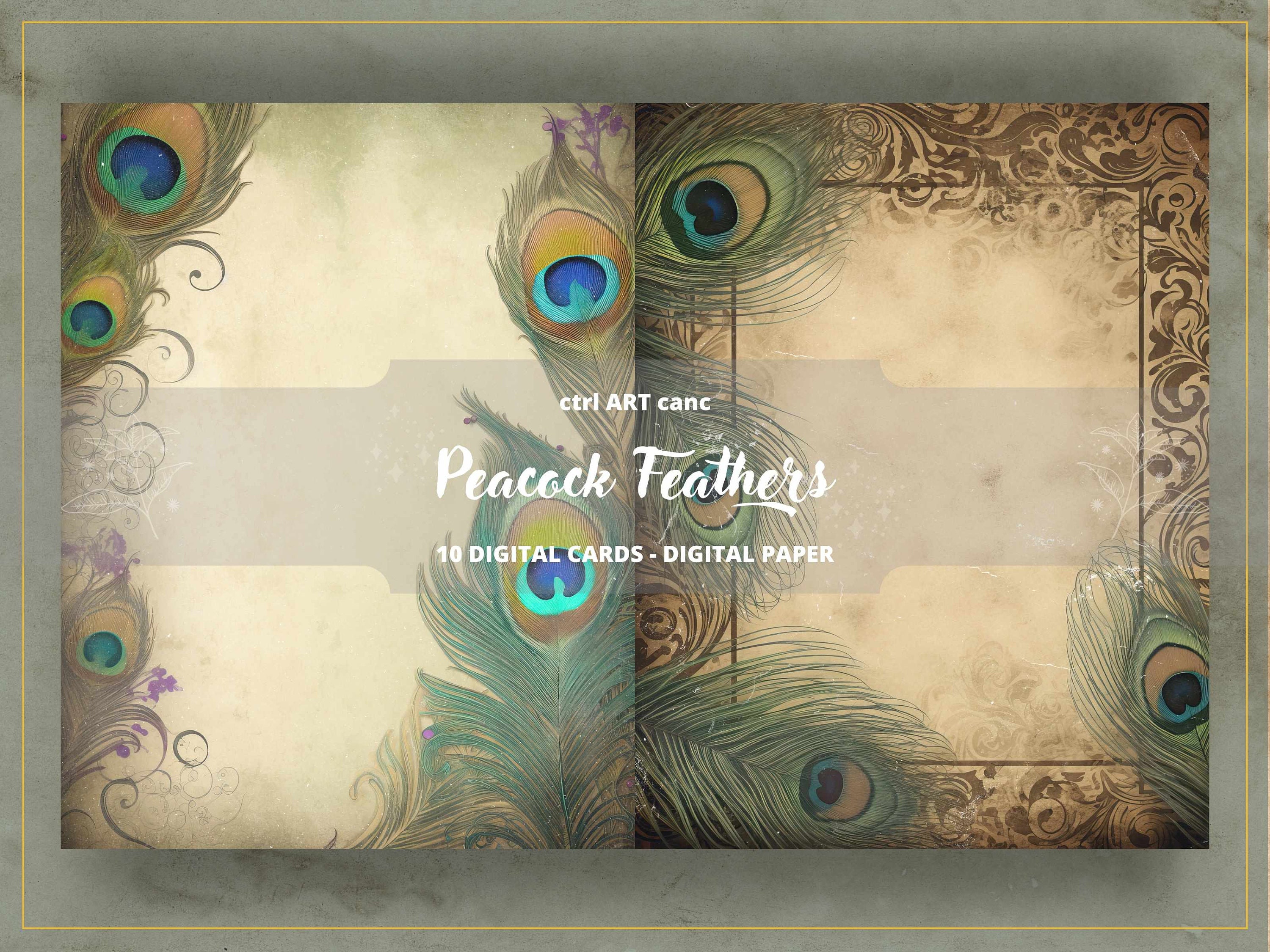 10 Peacock Feathers Printable Paper Peacock Digital Paper - Etsy Australia