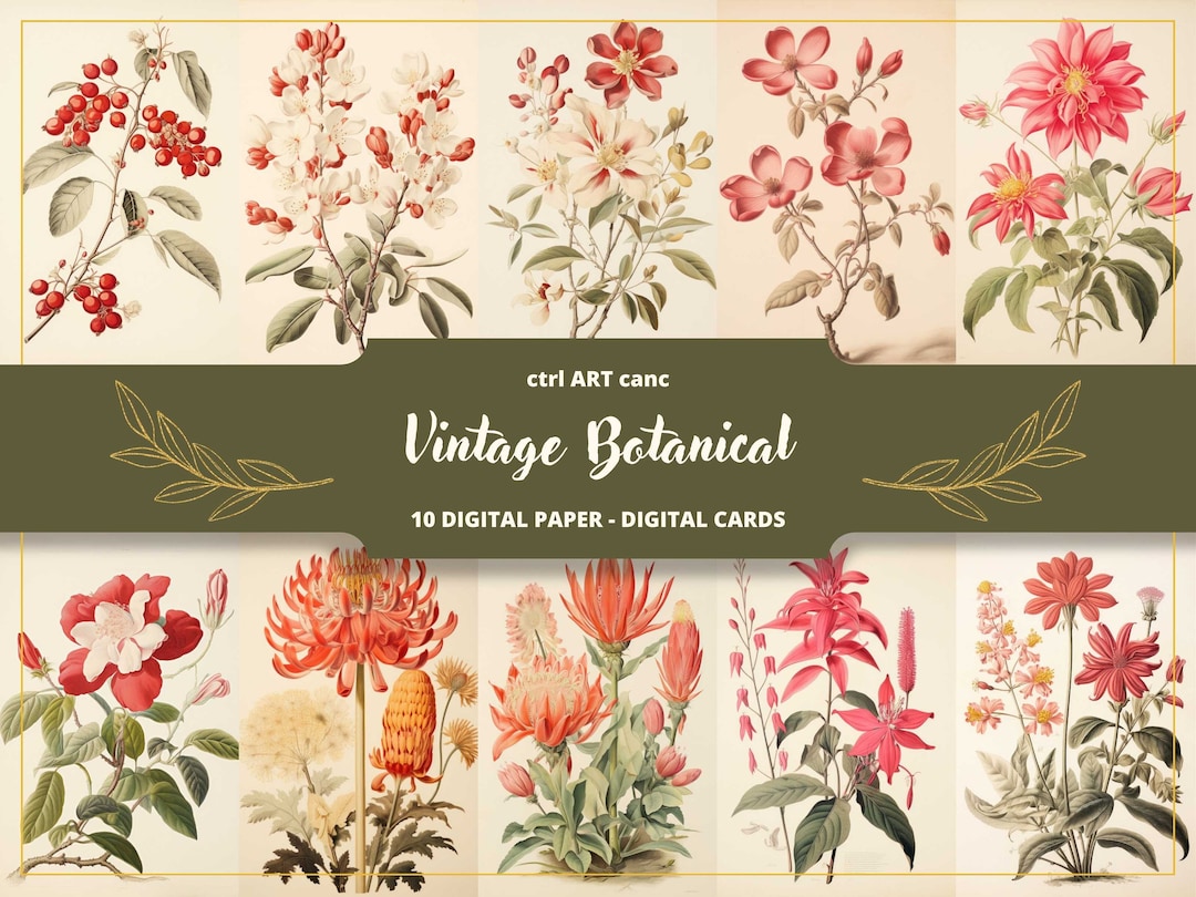 Vintage Botanical Digital Paper, Old Floral Scrapbook Background ...