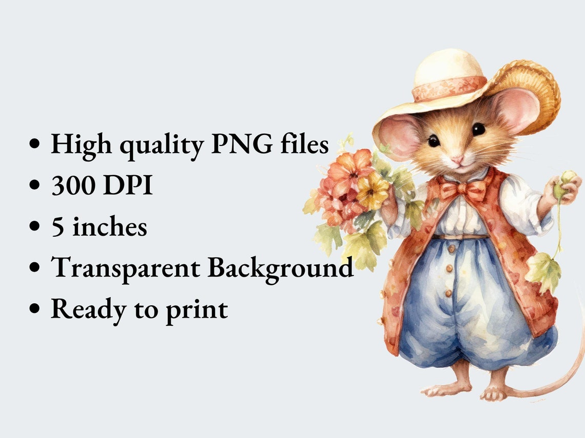 Cute Mouse Watercolor Clipart Country Mouse Clipart - Etsy