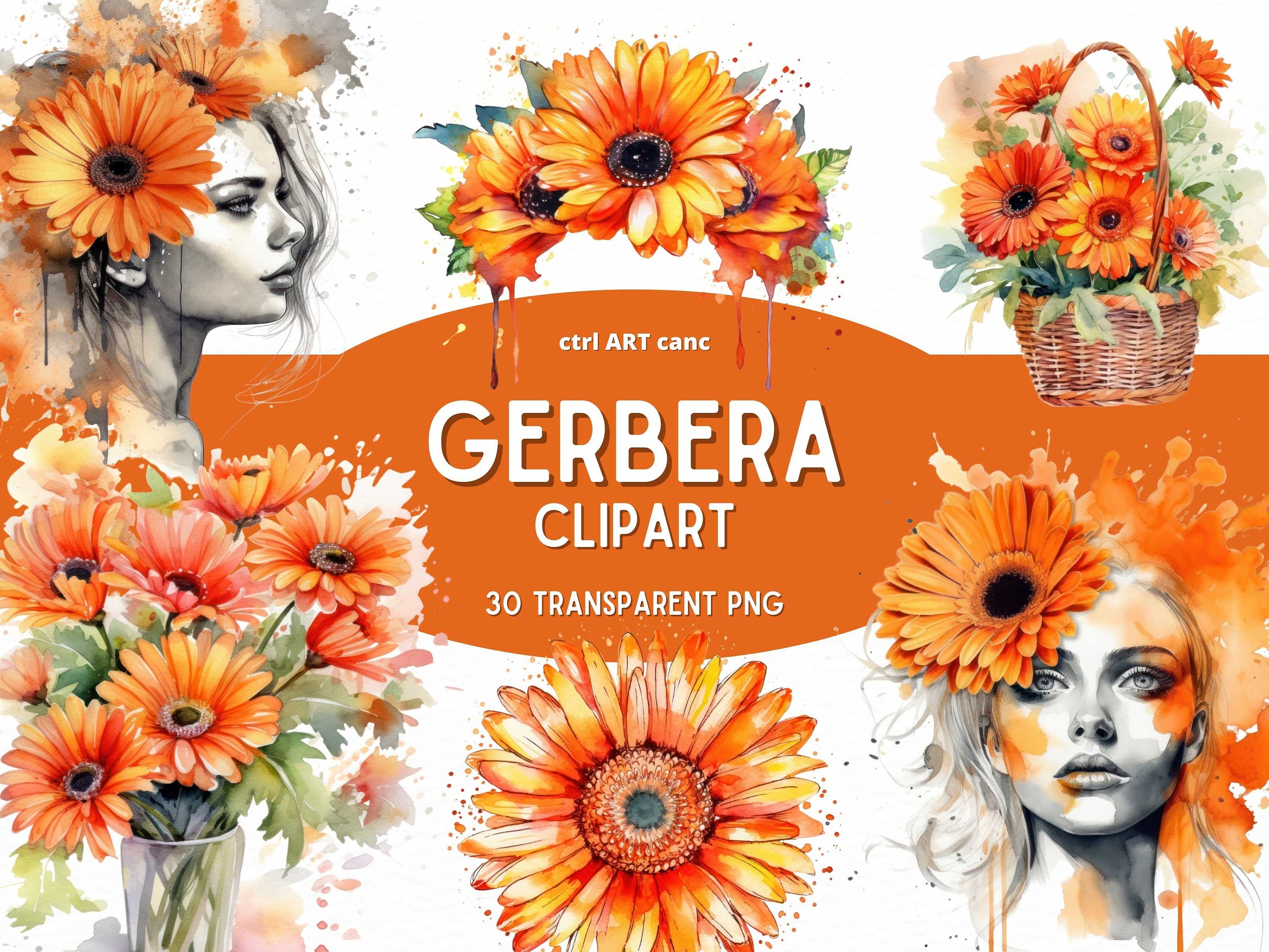 Orange Gerbera Daisy Clip Art