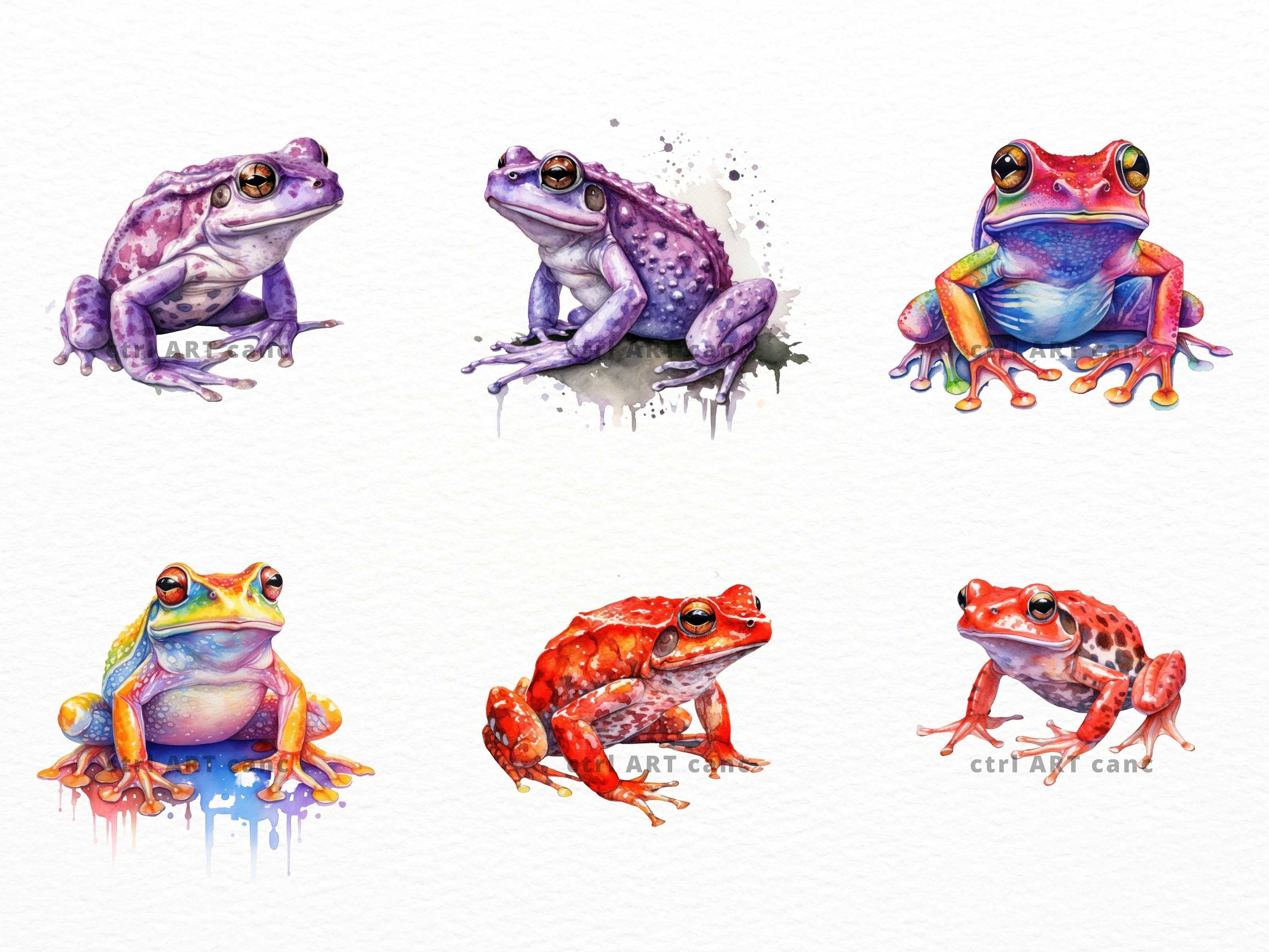 Rainbow Frogs Clipart Frogs Clipart Toad Clipart Animal - Etsy Australia