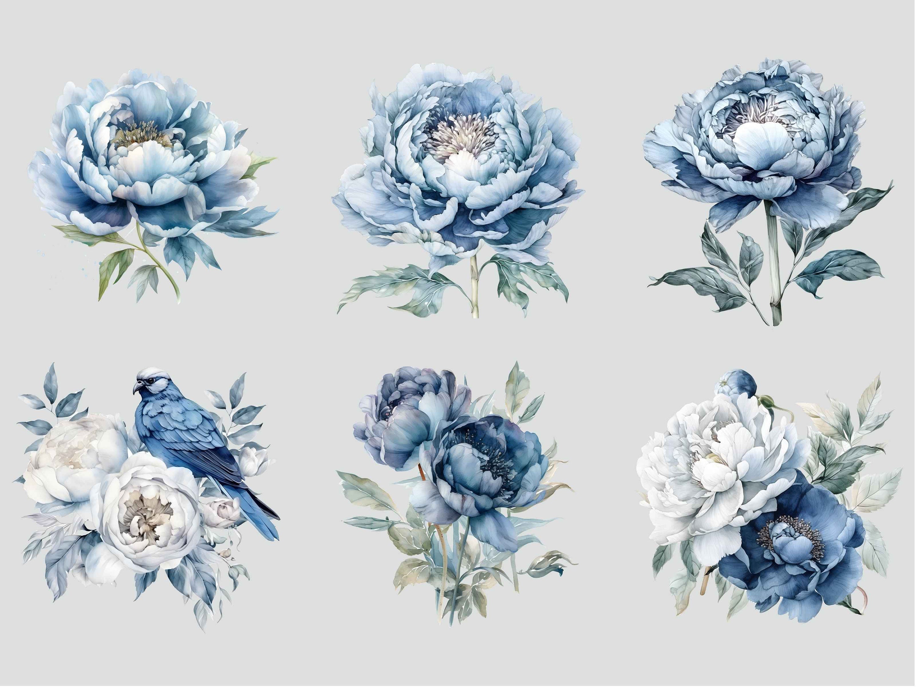 30 Blue Peony Clipart Watercolor Peonia Peonies Clipart - Etsy