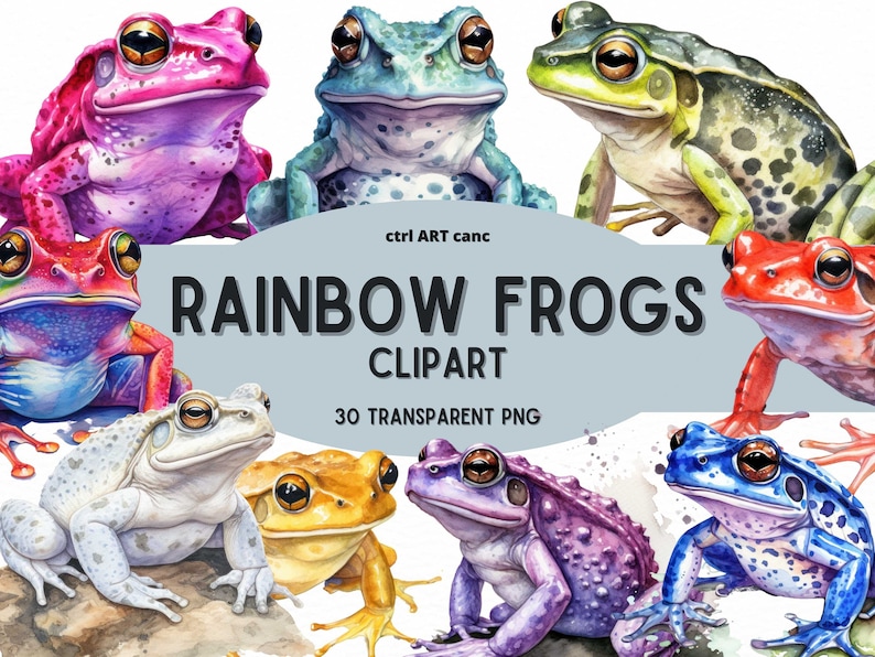 Rainbow Frogs Clipart Frogs Clipart Toad Clipart Animal - Etsy