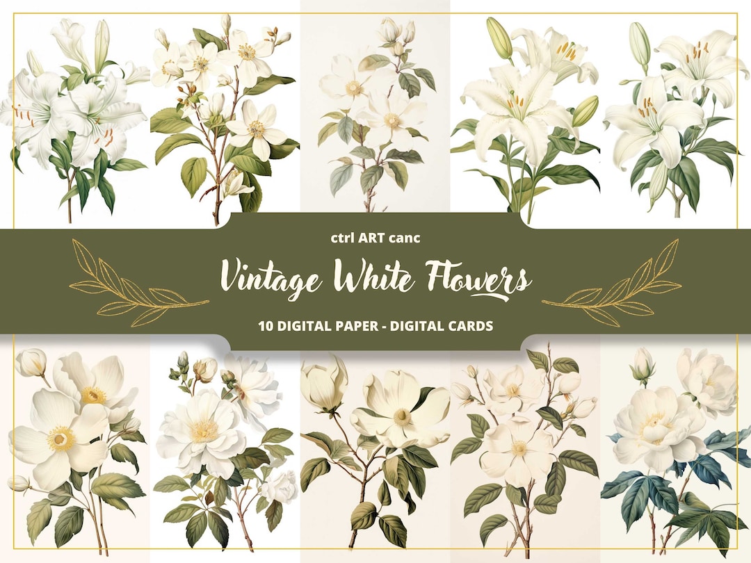 White Flowers Image White Digital Paper White Floral Printable Ephemera ...